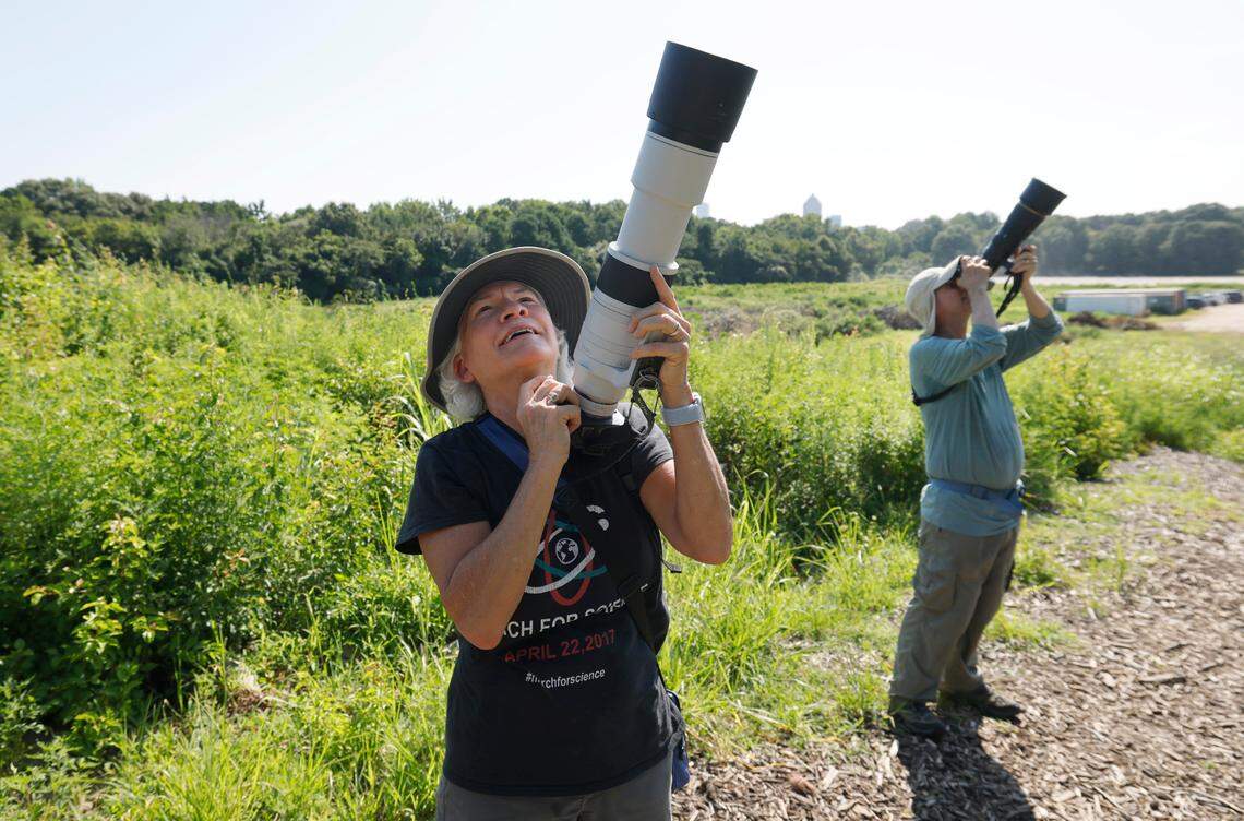 Rare Bird Returns to Raleigh After Years of Absence - Fawkes Focus